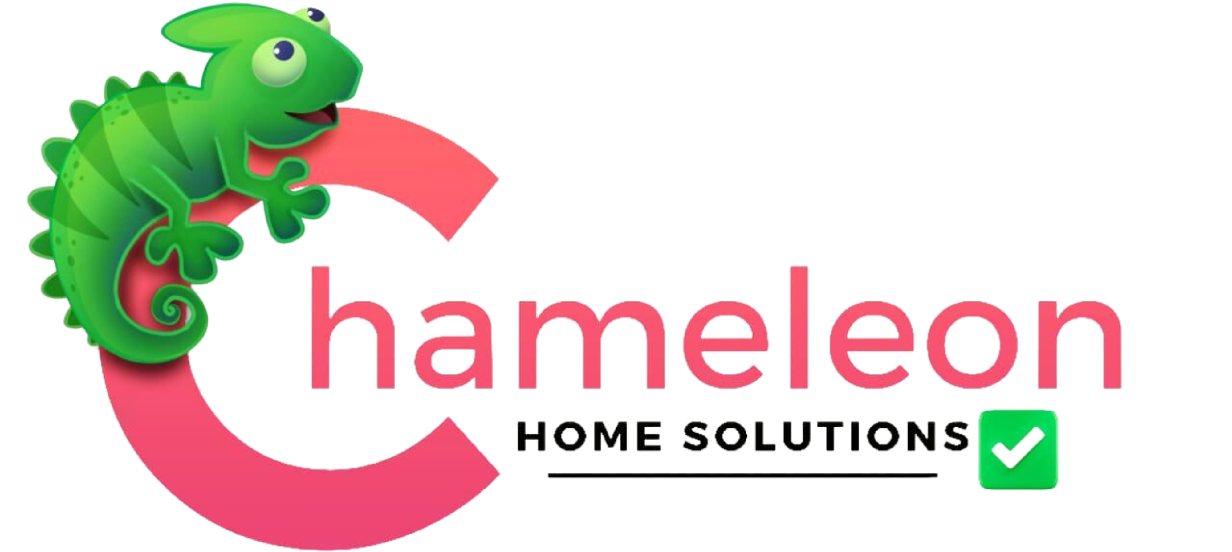 Chameleon – Painting Services